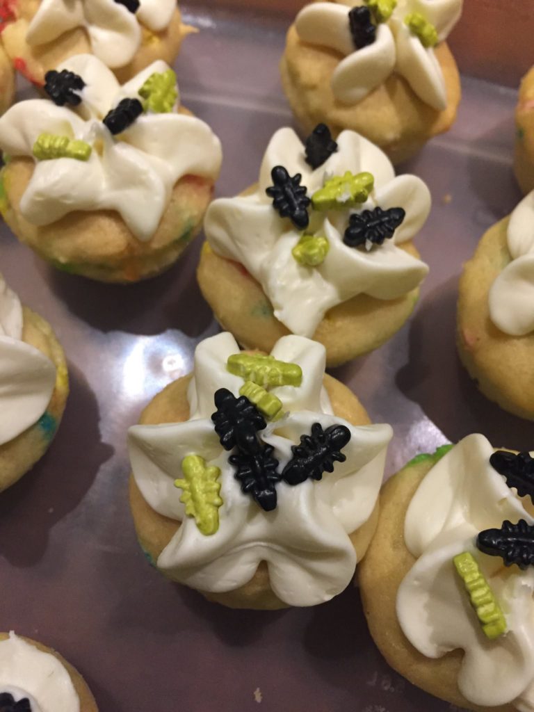 ant-candy cupcakes (1) - Pangolin Specialist Group