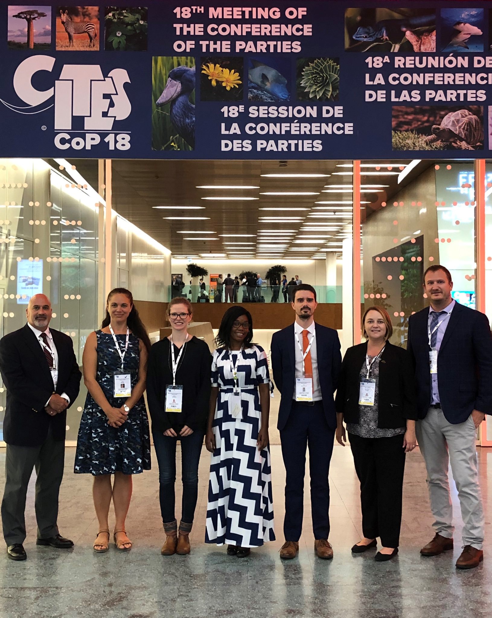 World Governments Re-Affirm Commitments to Pangolins at CITES CoP18 ...